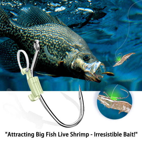 Live Shrimp Hook Bands (10 Pack) - Secure Bait Fishing | Bait Lure Depot